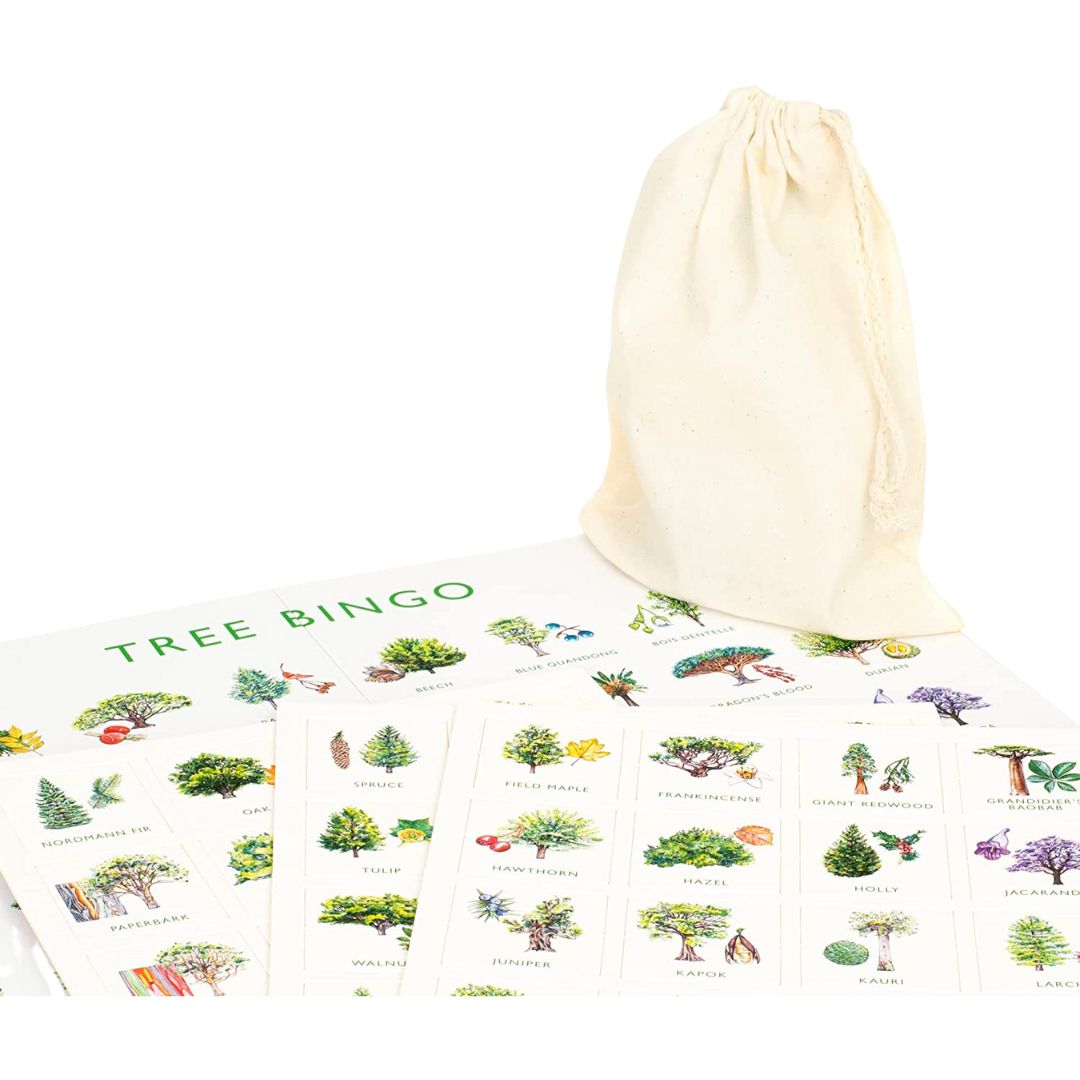 LK Publishing Tree Bingo Game