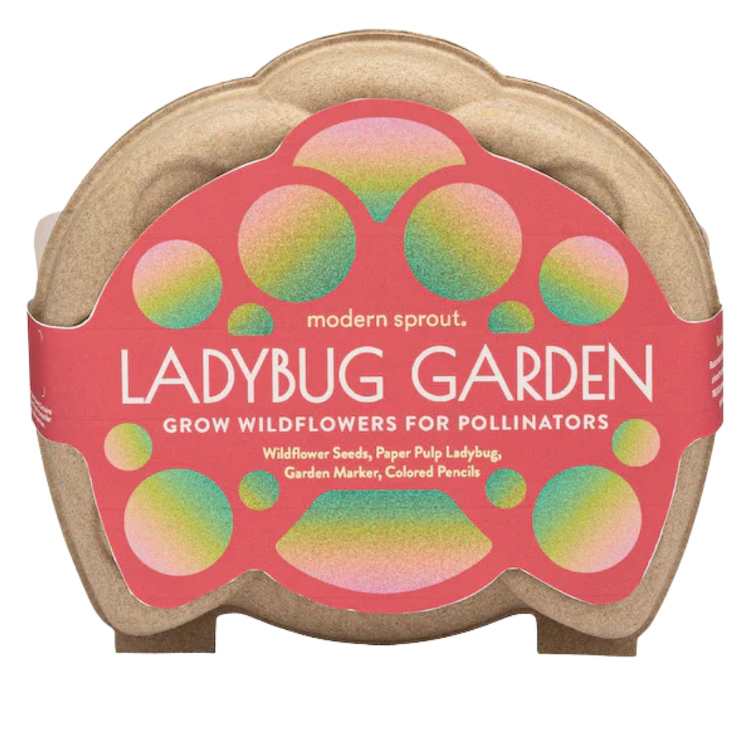 Modern Sprout Curious Critter Ladybug Garden Kit